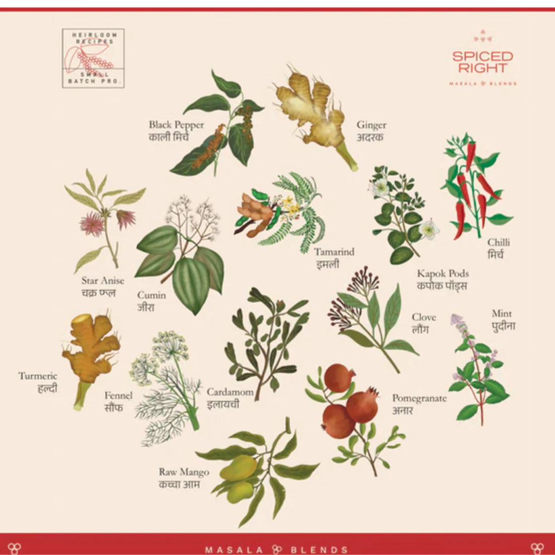 Masala Chart - Spiced Right